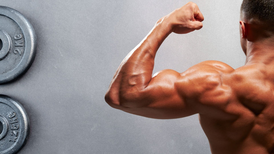 Le tonus musculaire et son importance pour la santé globale. – VitaOn